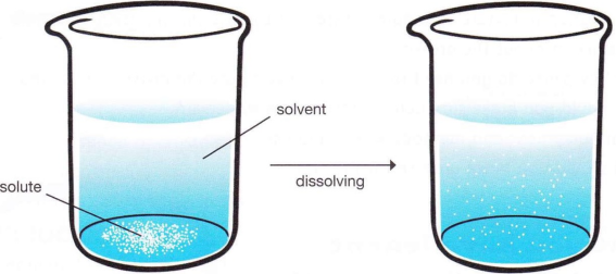 Science 6th grade | UNIT 3: Material changes 3.6 How can we make solids ...
