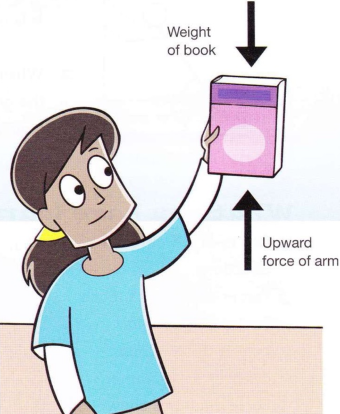Science 6th grade | UNIT 4: Forces and motion 4.3 Balanced and ...