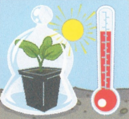 Science 3rd grade | UNIT 1: Looking after plants 1.4 Plants growth and ...