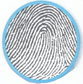 Science 3rd grade | UNIT 3: Living things 3.4 Sorting humans booklet ...