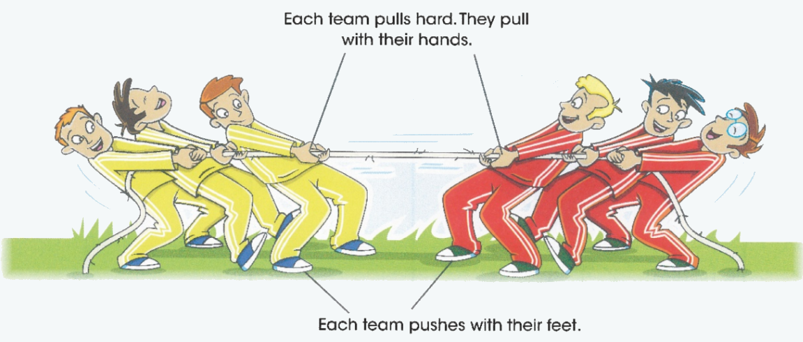 Science 3rd grade | UNIT 6: Forces and movement 6.1 Push and pull ...