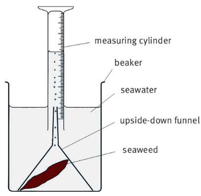 Science 8th grade | UNIT 1: Plants End of unit questions | Gamatrain