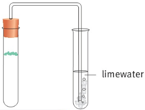 Science 8th grade | UNIT 9: Material changes 9.3 Reactions with acids ...